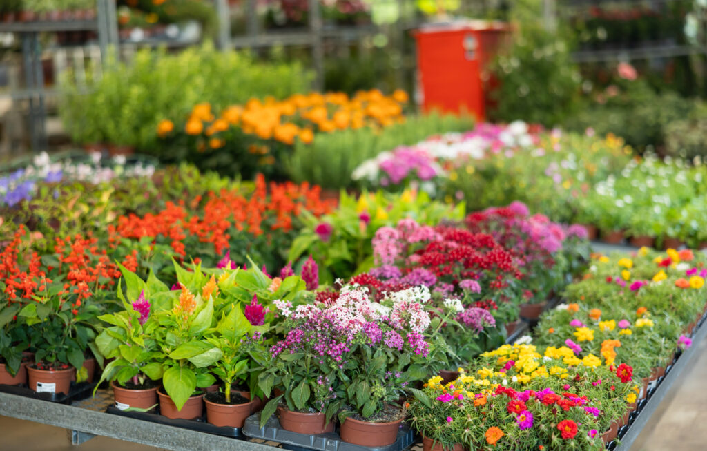 Landscaping Trade Shows: How to Thrive at the Top Showcases